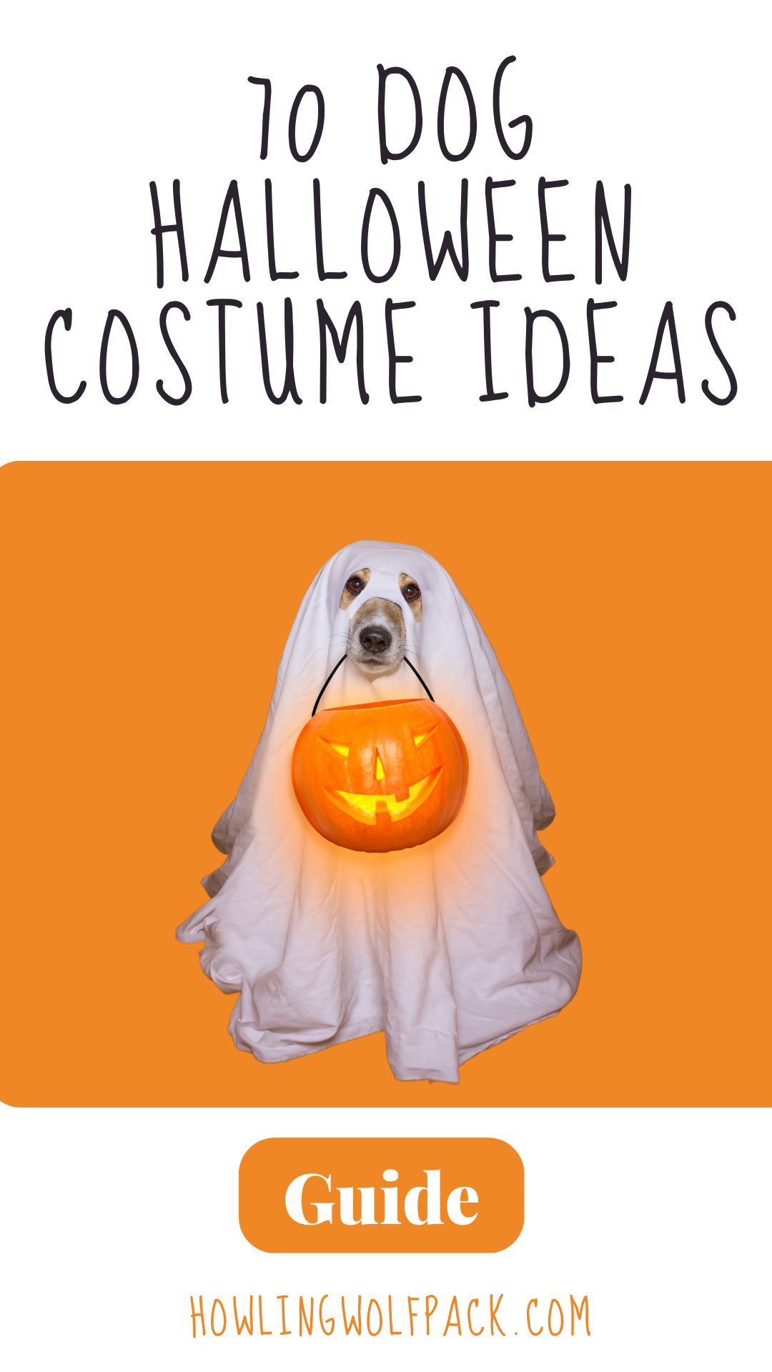 70 Dog Halloween Costume Ideas