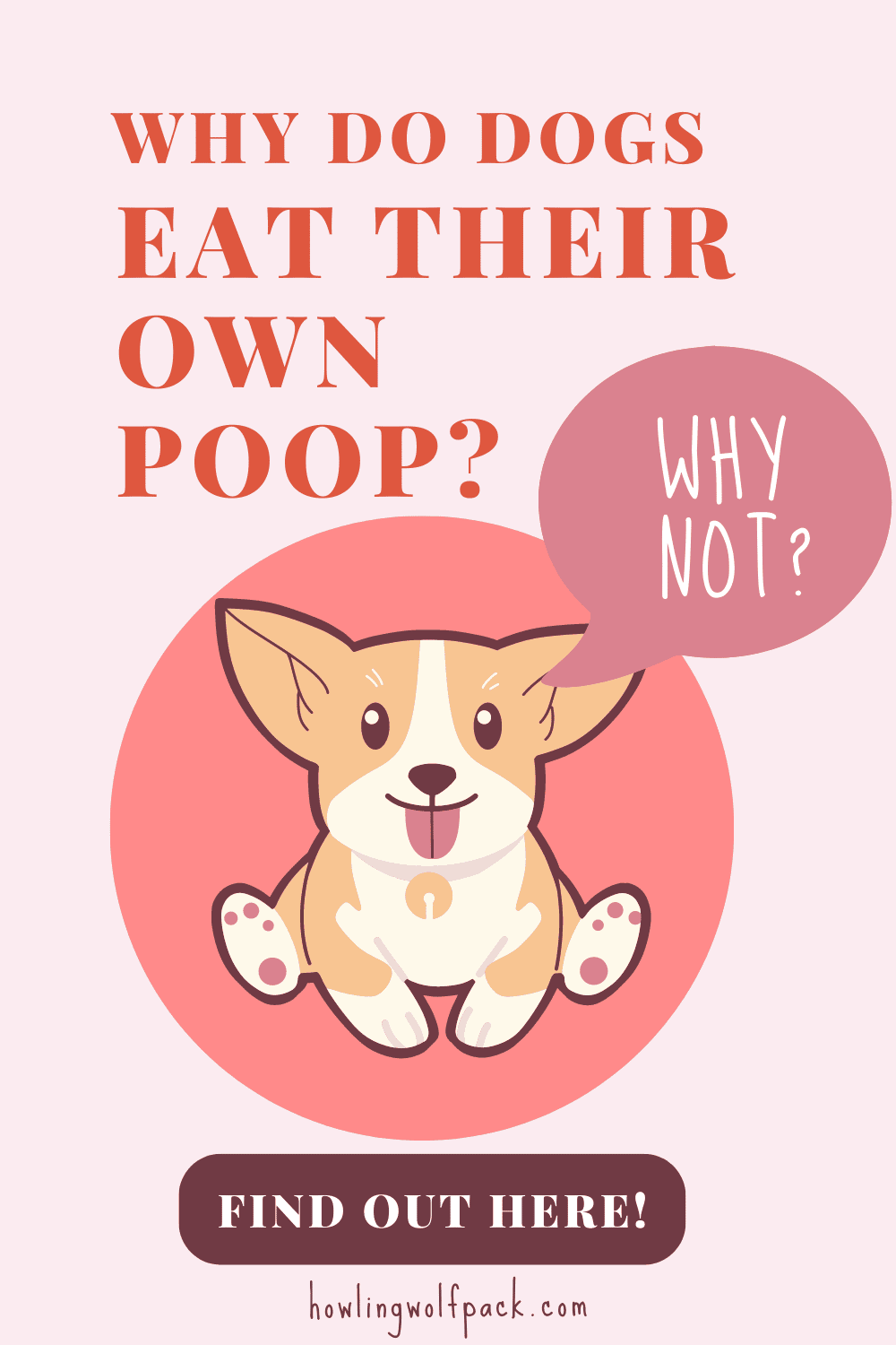 Why Do Dogs Eat Poop and How To Stop Them