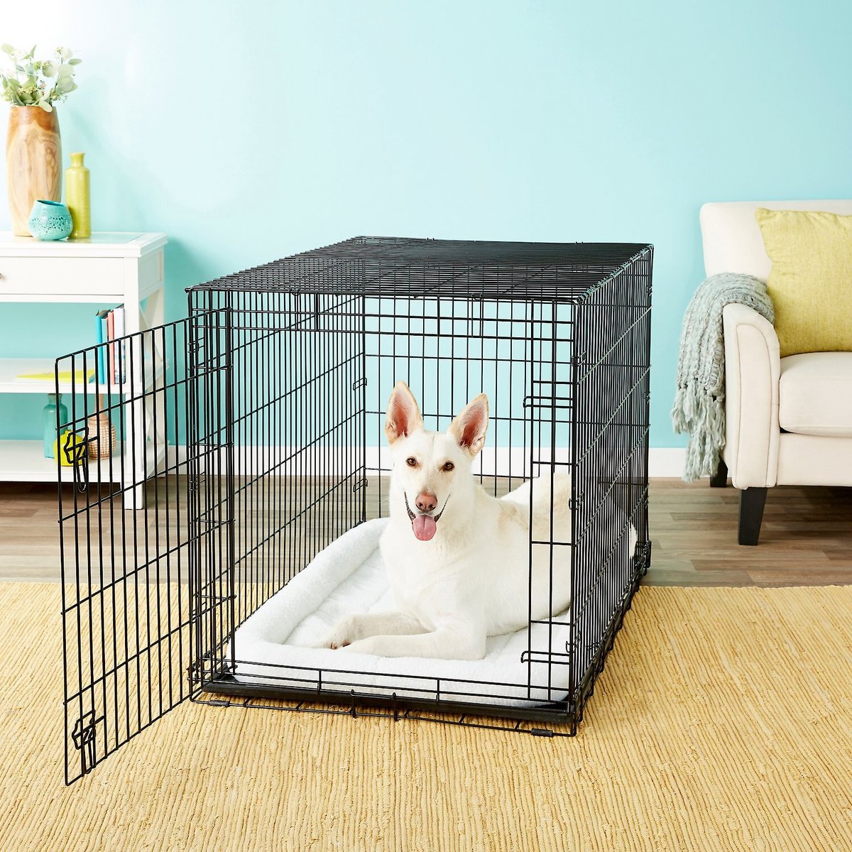 How to Crate Train a Puppy in 5 Easy Steps