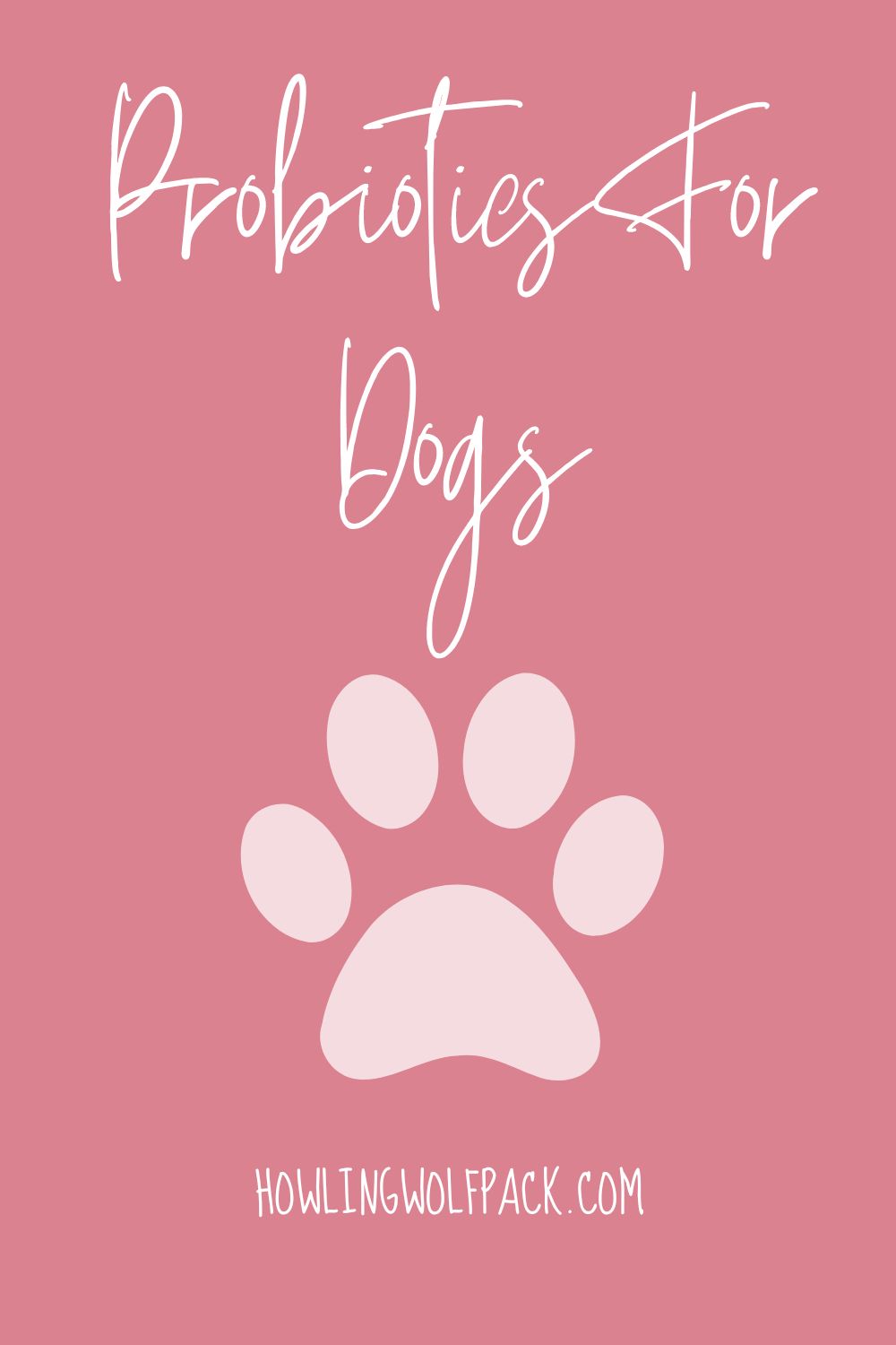 Best Probiotics for Dogs: 2024's Top Picks!