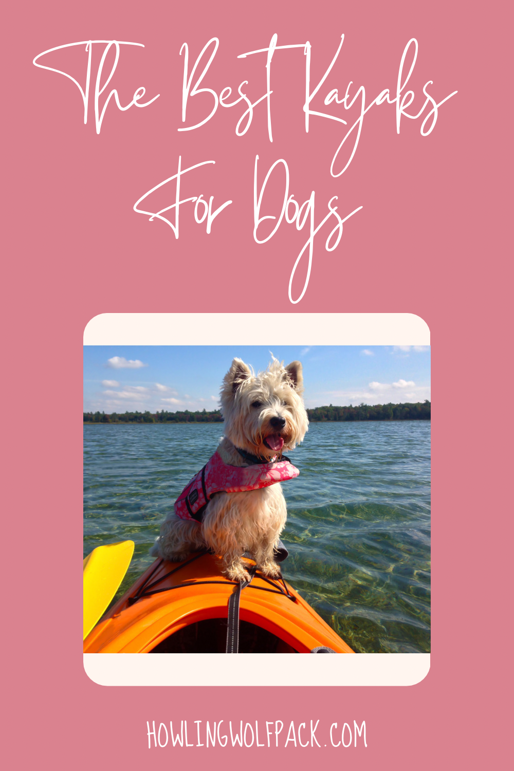 Best Kayaks for Dogs in 2024: Safe and Fun Paddling!
