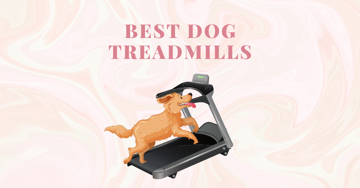 3 Best Dog Treadmills To Exercise Your Dog Indoors