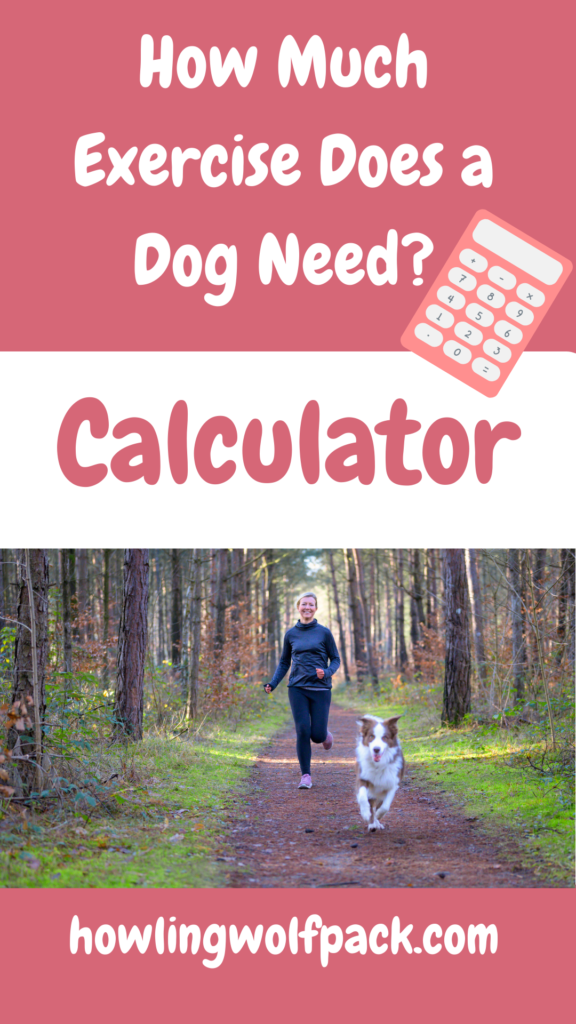 Dog Exercise Calculator How Much Exercise Does A Dog Need Dog Exercise Calculator How Much Exercise Does A Dog Need