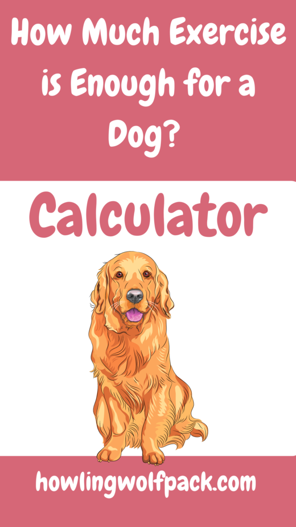 Dog Exercise Calculator How Much Exercise Does A Dog Need Dog Exercise Calculator How Much Exercise Does A Dog Need