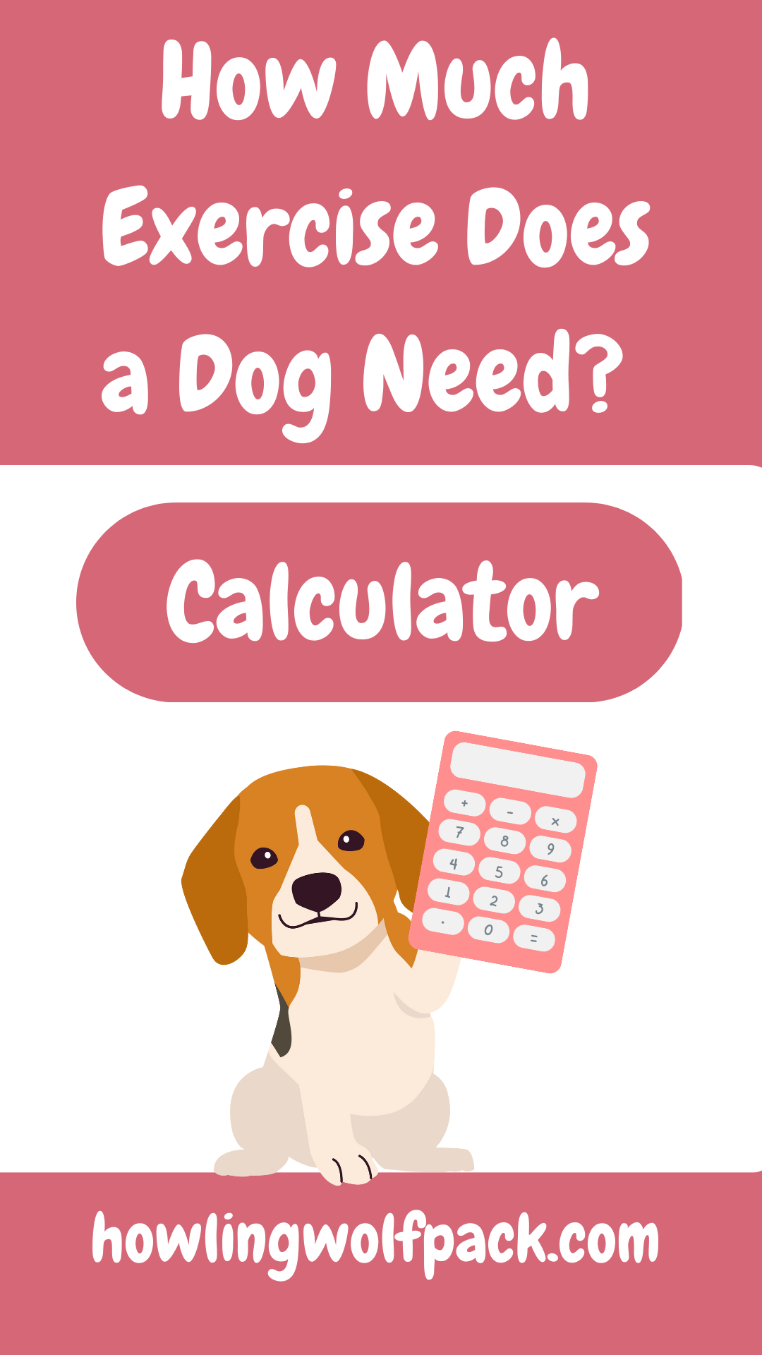 Dog Exercise Calculator: How Much Exercise Does a Dog Need?