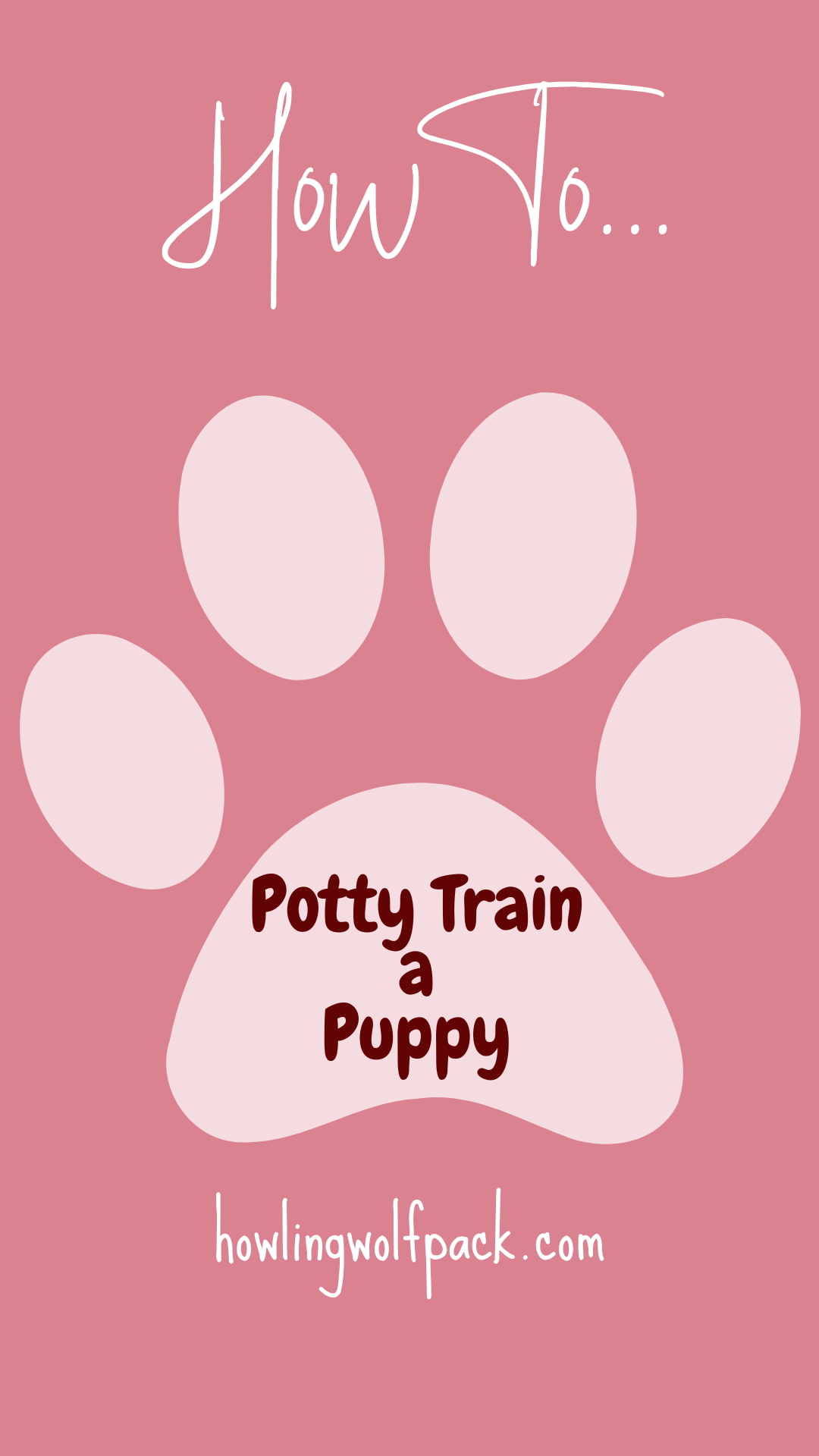 How to Potty Train a Puppy: Quick and Easy!