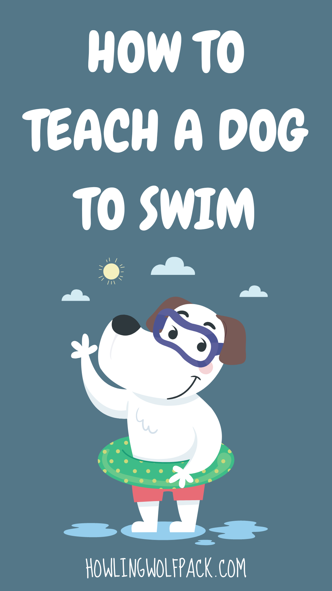 Can All Dogs Swim? A Guide To Teach Your Dog To Swim
