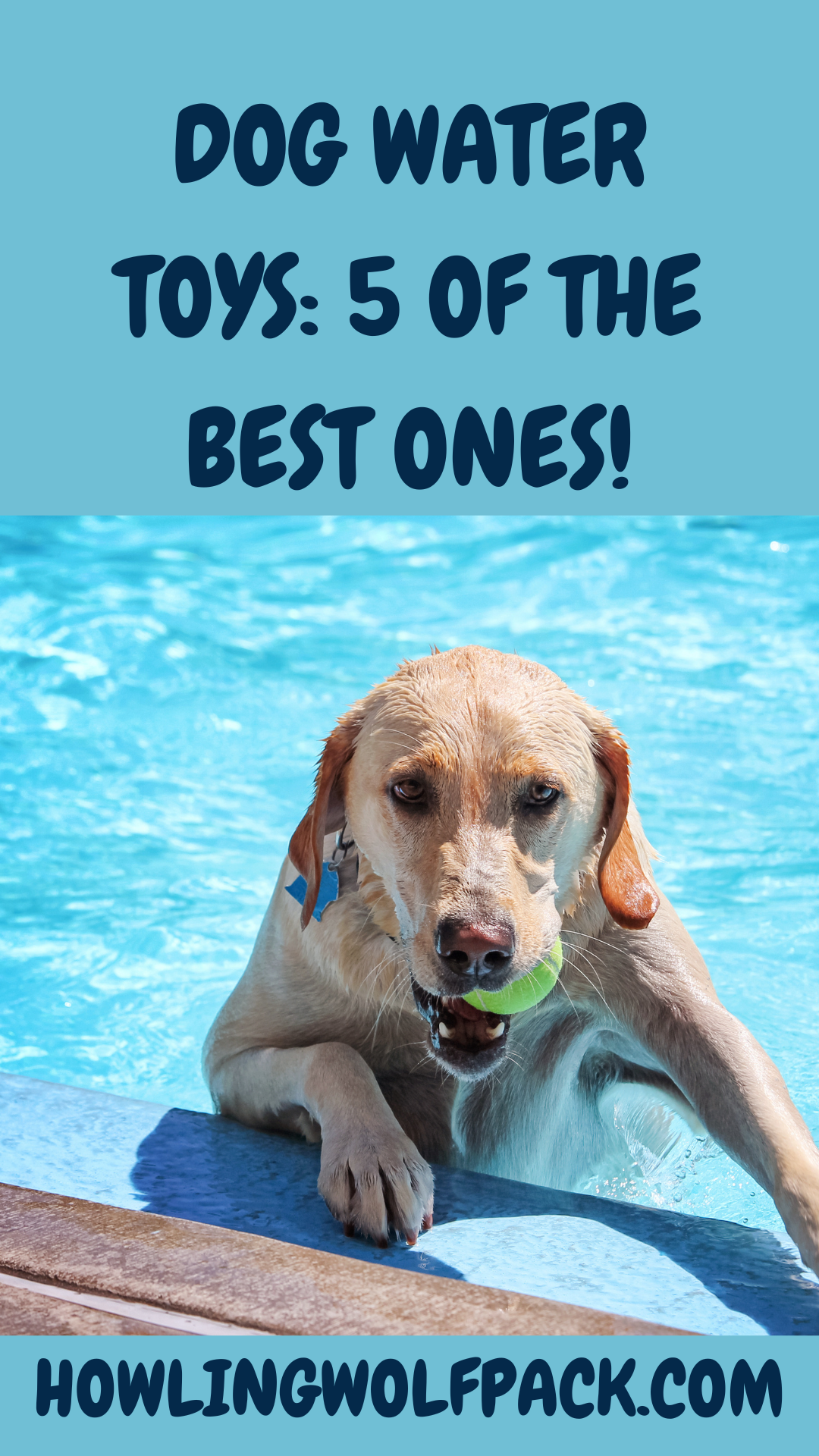 Unleash the Splash: Discover the Best Dog Water Toys of 2024