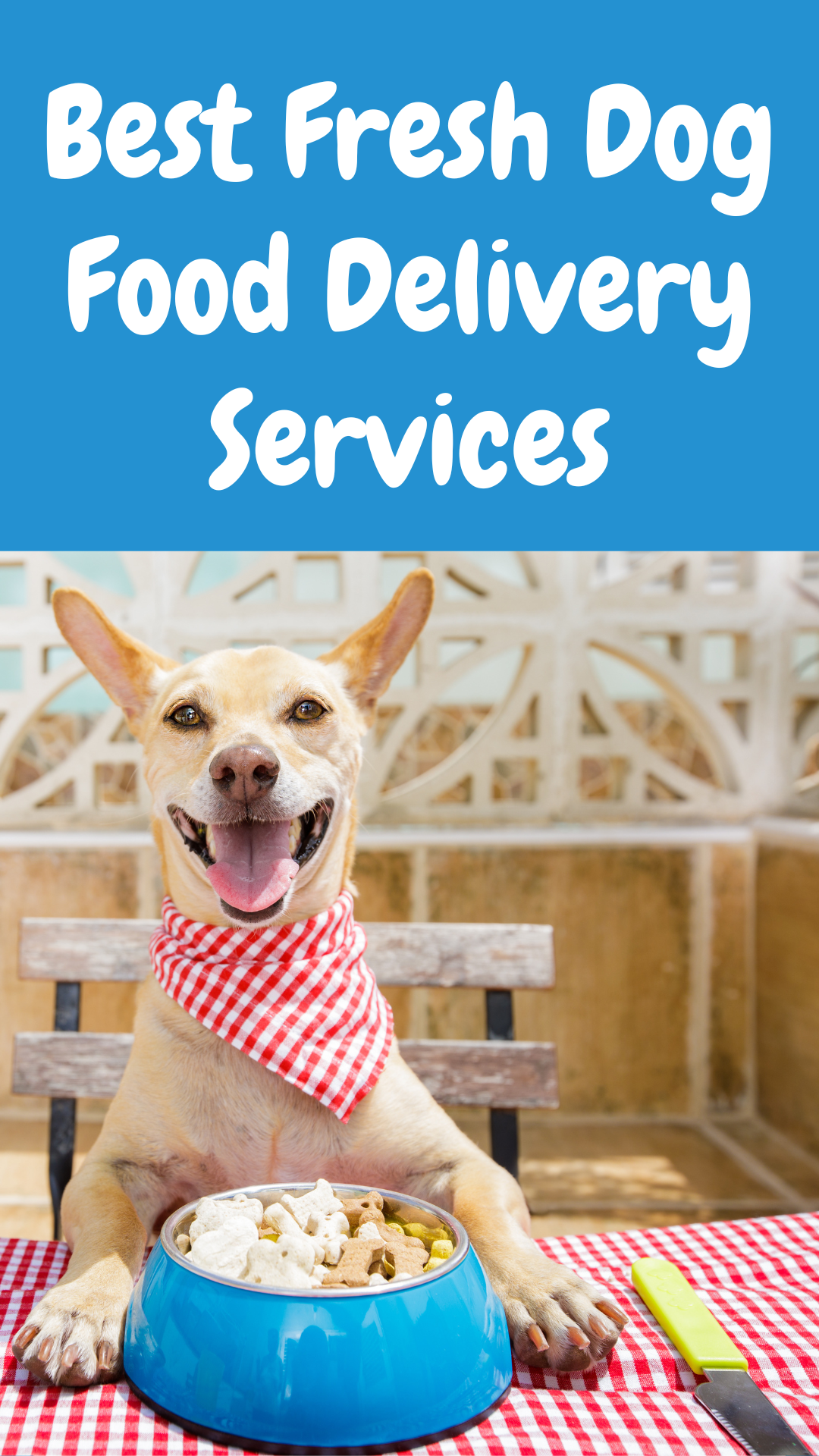 5 Best Fresh Dog Food Delivery Services for 2024