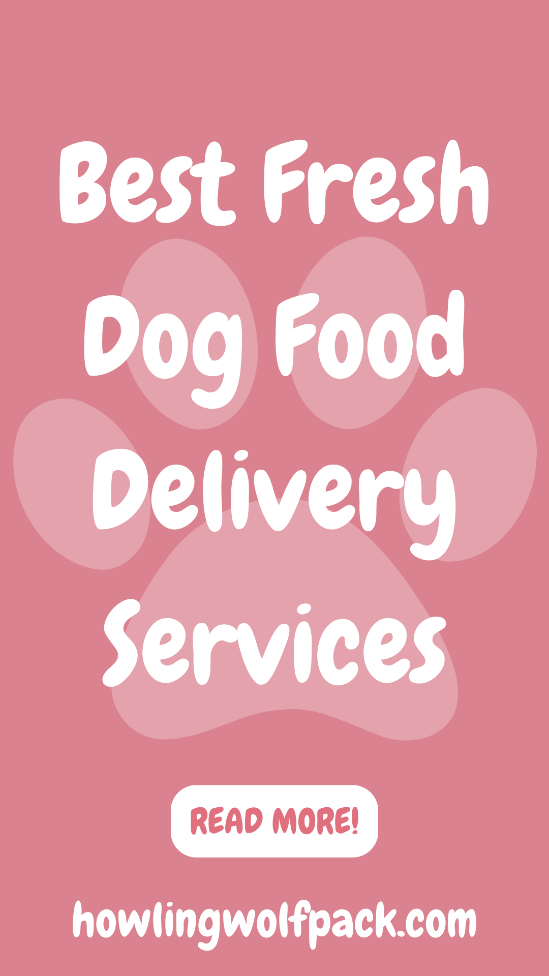 5 Best Fresh Dog Food Delivery Services for 2024