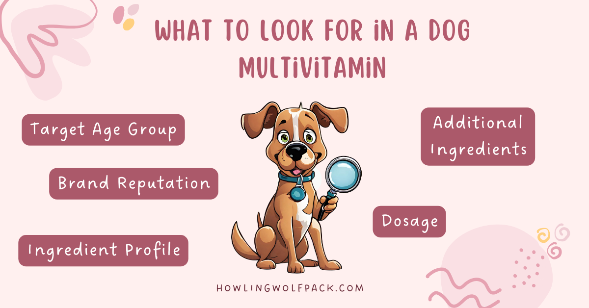 5 Best Multivitamin for Dogs in 2024