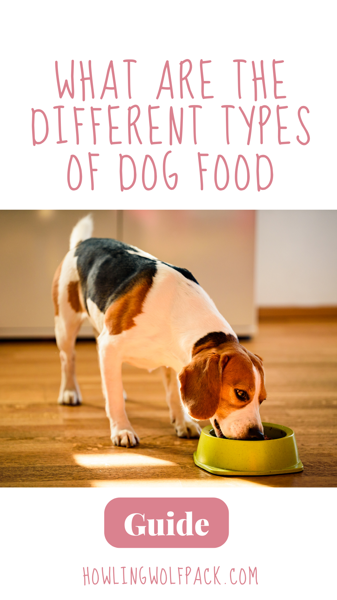 Types of Dog Food: A Helpful Guide