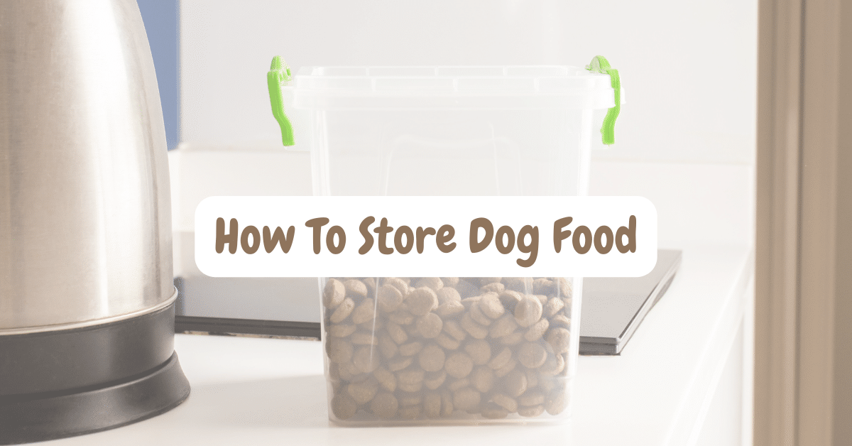 How to Store Dog Food - Wet and Dry Dog Food Storage
