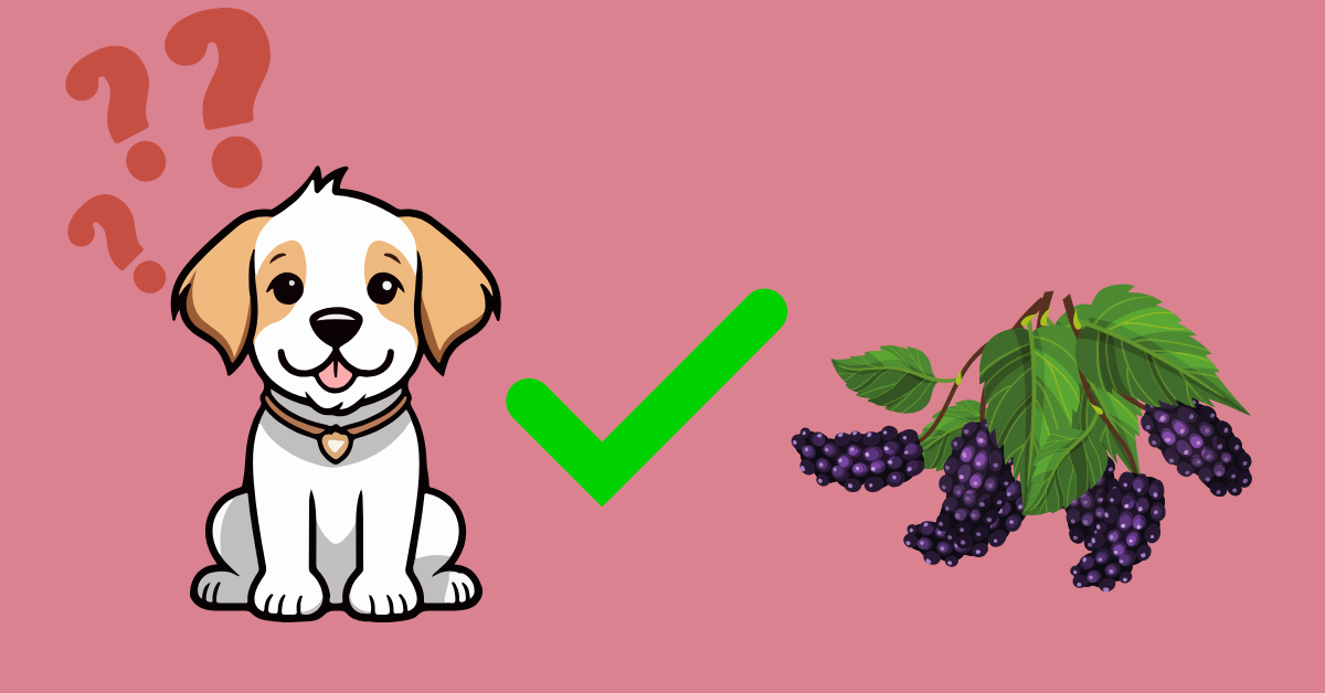 Can Dogs Eat Mulberries? Find Your Dog's New Favorite Treat!