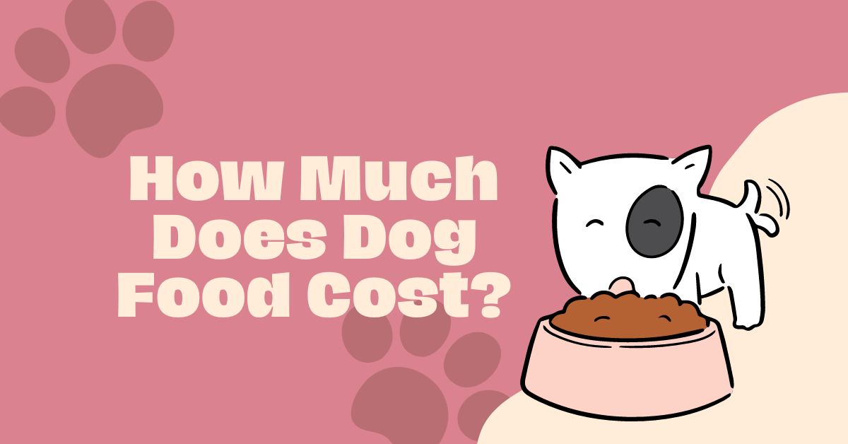 How Much Does Dog Food Cost? Types & Countries Compared